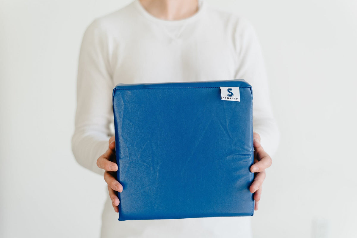 Senseez Vibrating Cushions — Sensory & Me