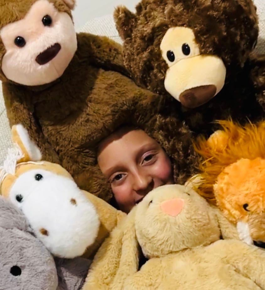 Weighted Animals — Sensory & Me